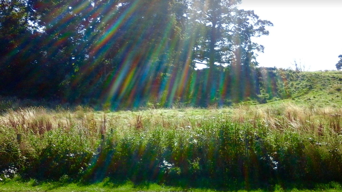 June Prayer Calendar Now Available – NEWHAVEN CHURCH